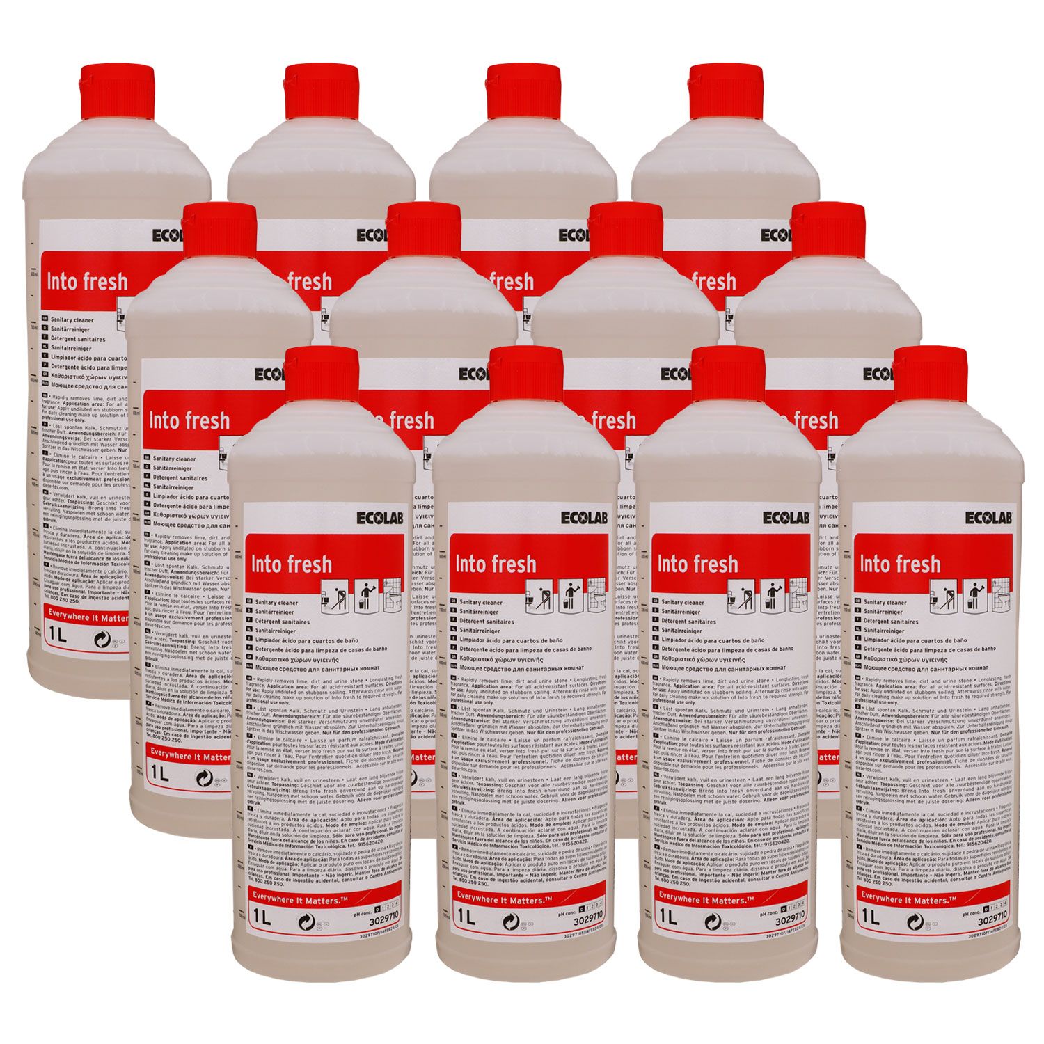 Ecolab Into fresh 12 x 1 Liter Sanitär Kraftreiniger Reiniger Set bei ...