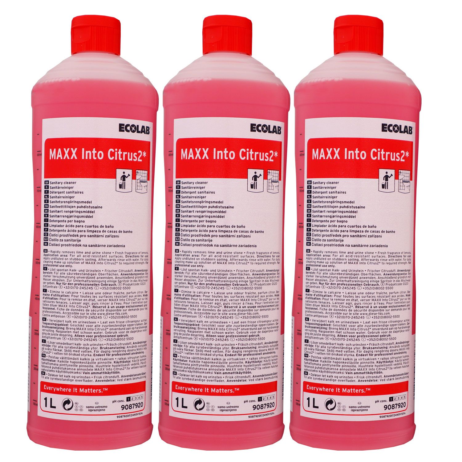 Ecolab MAXX Into Citrus2 3 x 1 Liter Sanitärreiniger Set bei Riemax