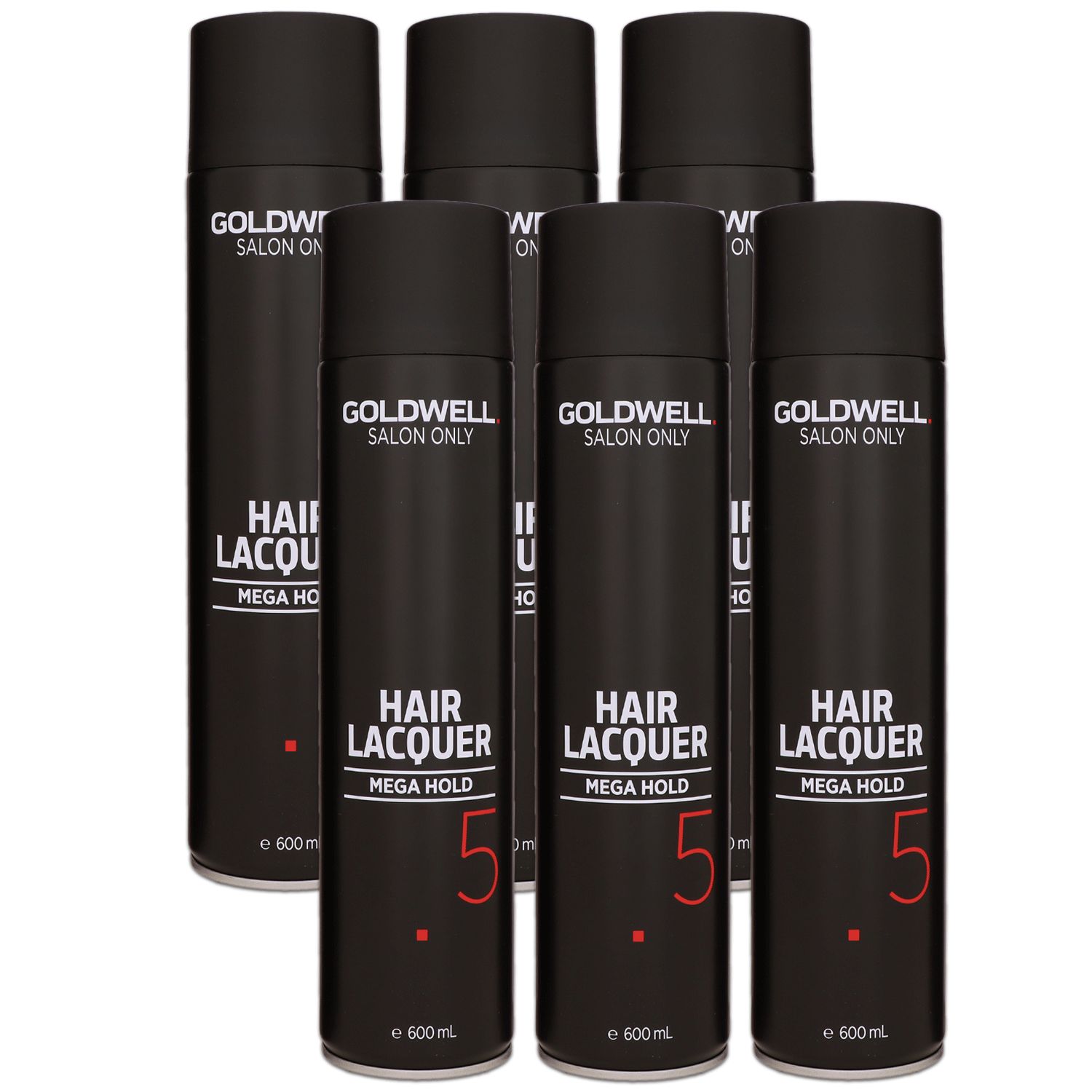 Goldwell Salon Only Hair Lacquer 6 x 600 ml bei Riemax